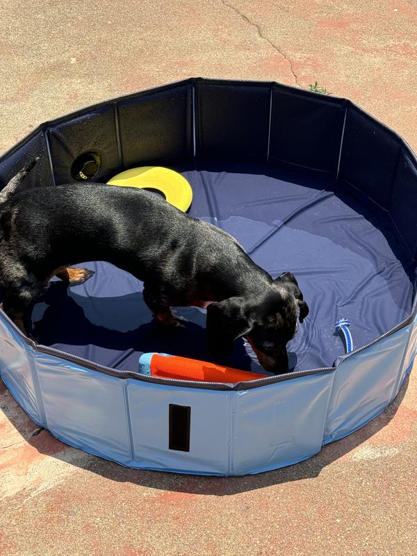 TRIXIE Dog Splash Pool, Portable Swimming Pool, Blue, Small - Chewy.com