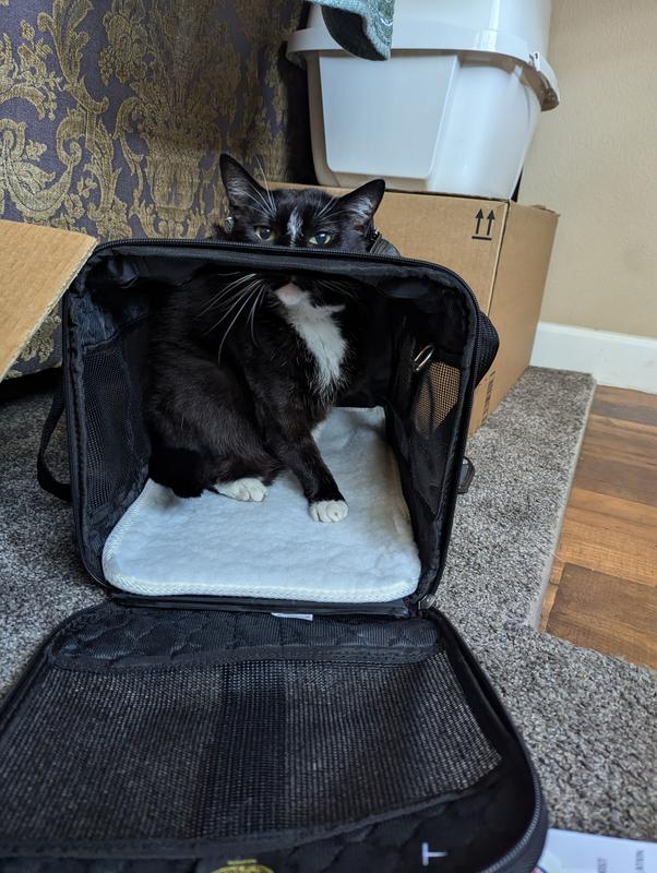 SHERPA Original Deluxe Lattice Print Airline-Approved Dog & Cat Carrier ...