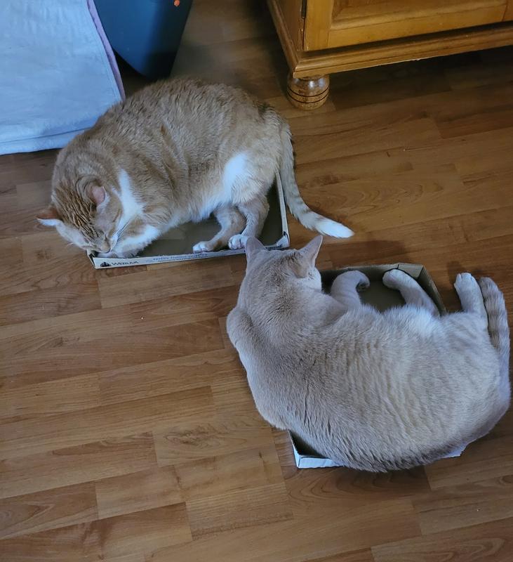 CAT-MAN-DOO Extra Large Dried Bonito Flakes Cat & Dog Treats, 4-oz bag ...