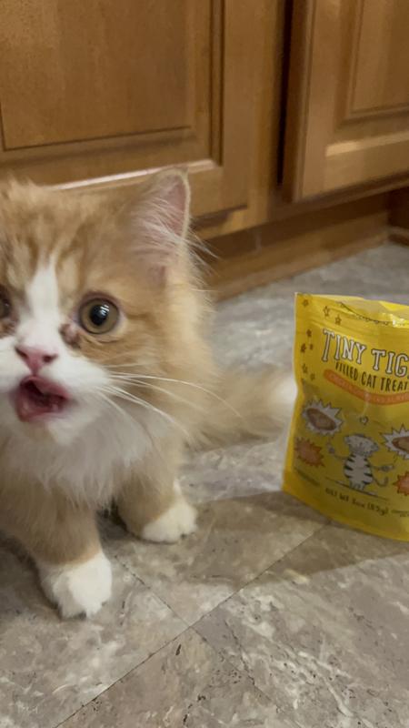 TINY TIGER Chicken Chompers Flavor Filled Crunchy Cat Treats, 16-oz bag ...