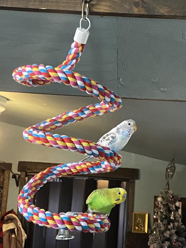 A&E CAGE COMPANY Rainbow Cotton Rope Boing Bird Toy - Chewy.com