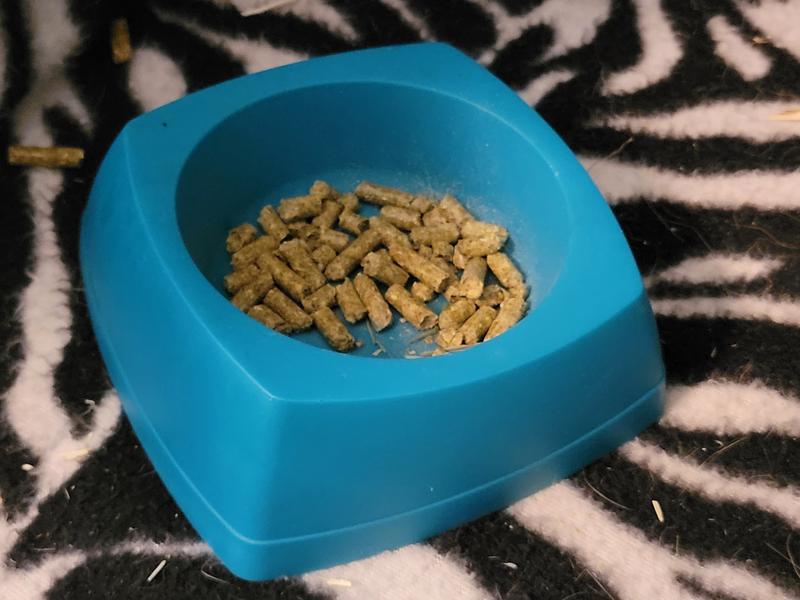 KRUSE'S PERFECTION BRAND Guinea Pig Food, 4-lb bag - Chewy.com