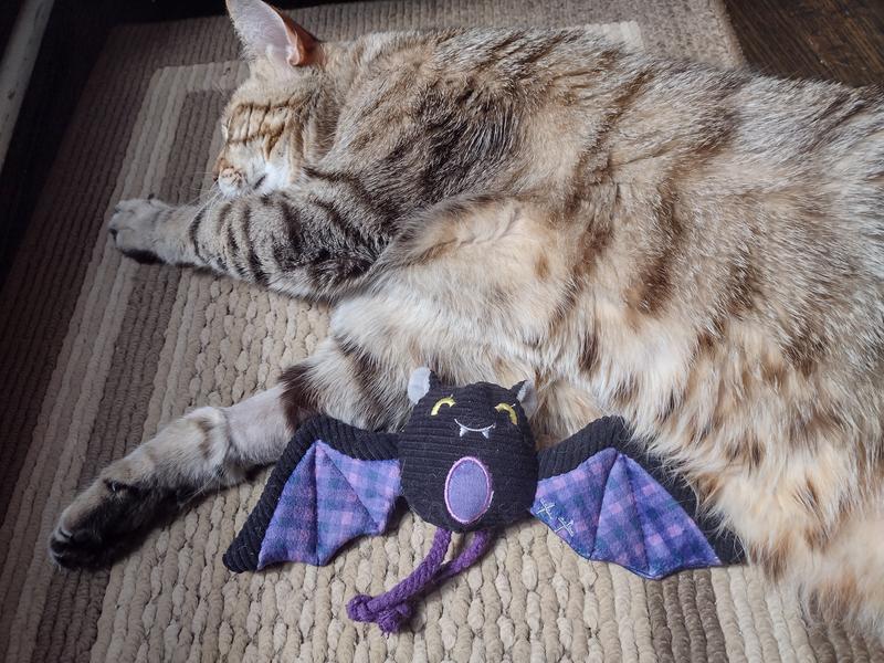 FRISCO Halloween Cutie Bat Plush Cat Toy with Catnip - Chewy.com