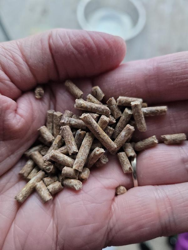 BAR ALE Organic 18% Protein Soy & Corn-Free Layer Mini Pellet Chicken ...