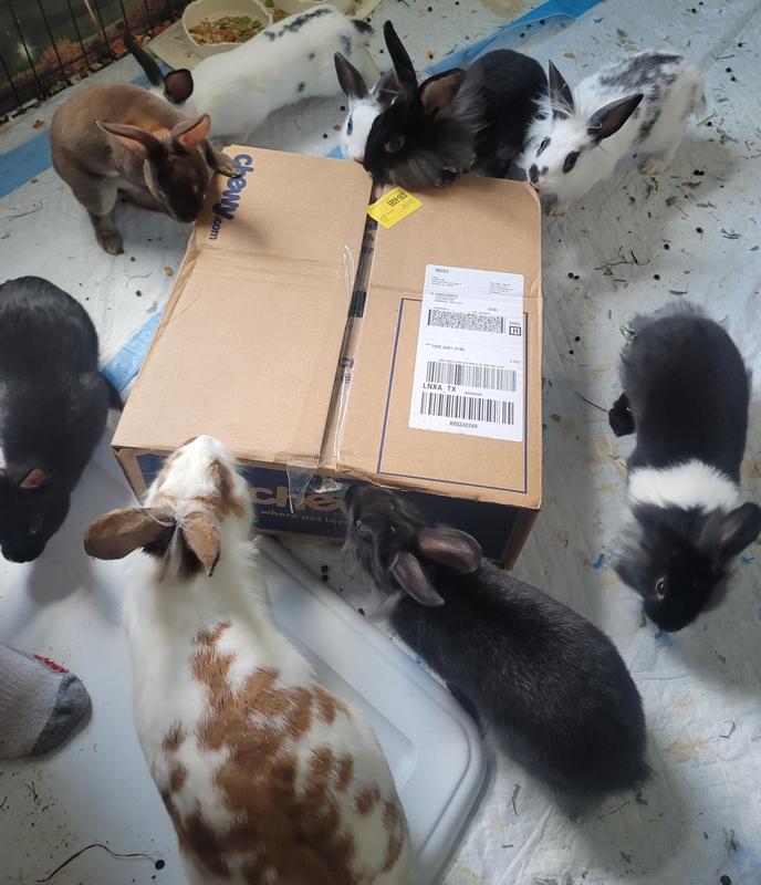 TINY FRIENDS FARM Russel Rabbit Food, 5.5-lb bag - Chewy.com