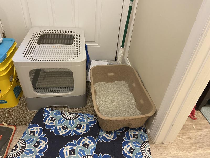 FRISCO High-Sided Heavy Duty Disposable Litter Box, Jumbo, 2 count ...