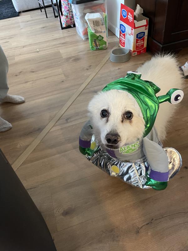 FRISCO Front Walking Alien Dog & Cat Costume, Small - Chewy.com