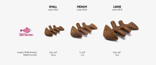 BENEBONE Fishbone Dog Chew Toy, Medium - Chewy.com