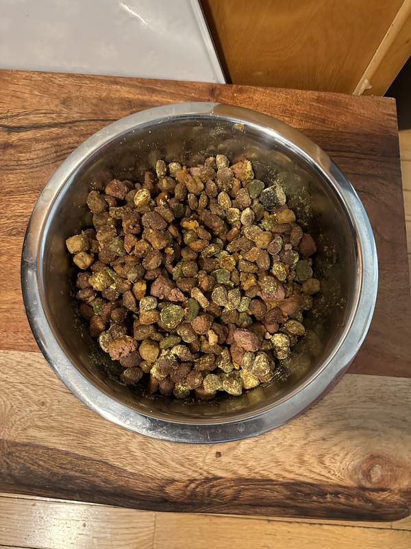 NATIVE PET The Daily Powder 11-in-1 Multivitamin Supplement for Dogs, 7 ...