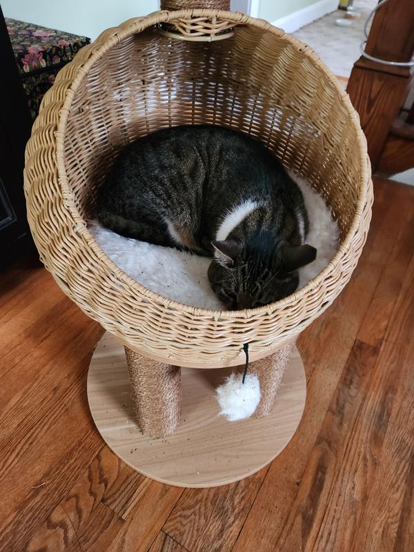 FRISCO Giraffe 51" Wicker Cat Tree & Condo - Chewy.com