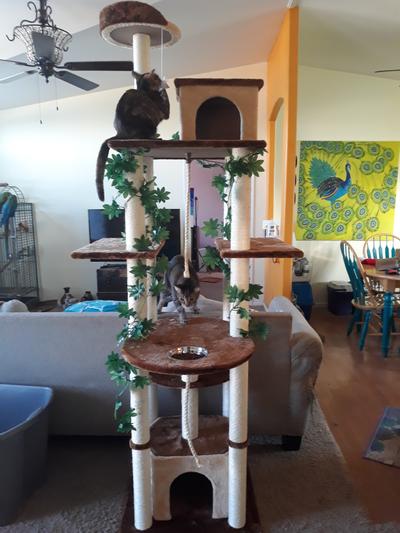 GO PET CLUB 85-in Forest with Leaves Cat Tree, Beige/ Brown - Chewy.com