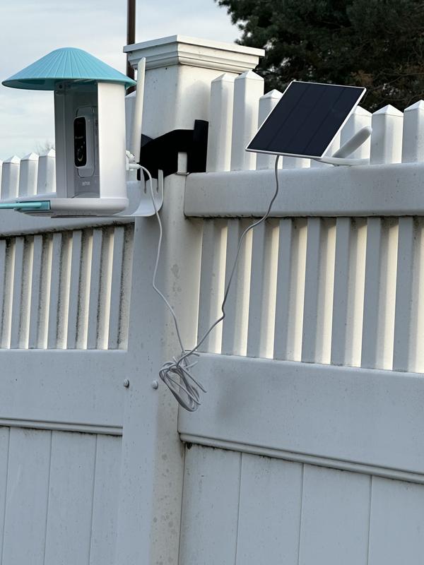 BIRDFY Smart Bird Feeder Camera Solar Panel & AI Lifetime Free, Blue, 1 ...