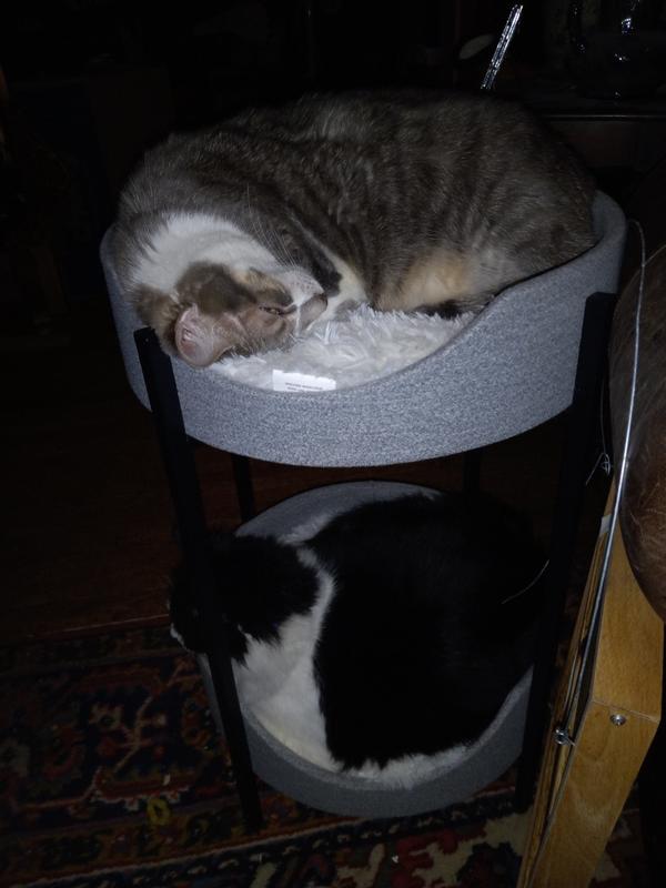 FRISCO Modern Elevated Wrought Iron Cat Bed with Eyelash Cushion, One ...