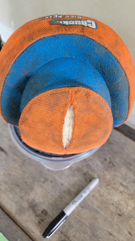 CHUCKIT! Kick Fetch Ball Dog Toy, Large - Chewy.com