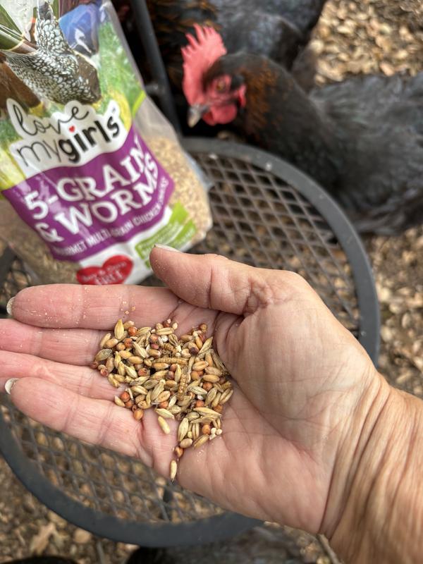 LOVE MY GIRLS 5-Grain & Worms Corn-Free Gourmet Chicken Treats, 5-lb ...