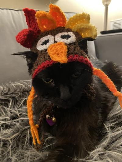 RENAPLUS (Potassium Gluconate) Powder for Dogs & Cats, 4-oz - Chewy.com