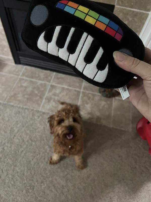 BARK Wonder Keyboard Squeaky Plush Dog Chew Toy, Small/Medium - Chewy.com