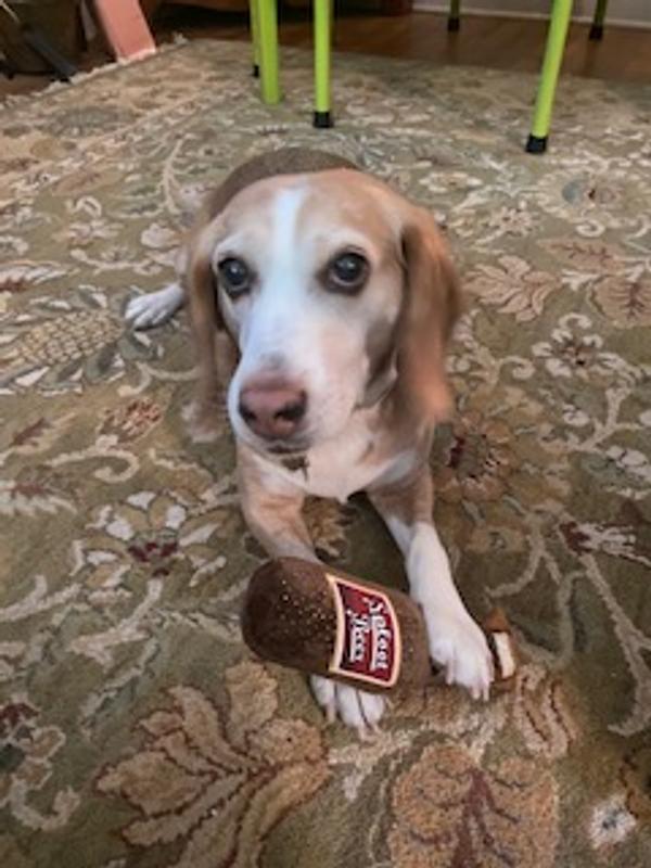 Product Reviews for BARK Old Fashioned Sploot Beer Plush Dog Toy