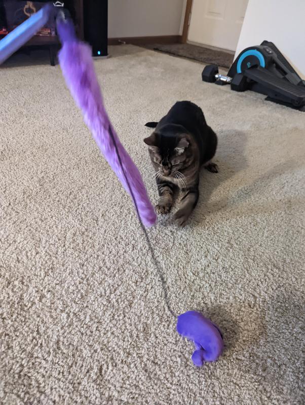 FRISCO Halloween Ghost & Fabric Teaser Wand Cat Toy with Catnip - Chewy.com