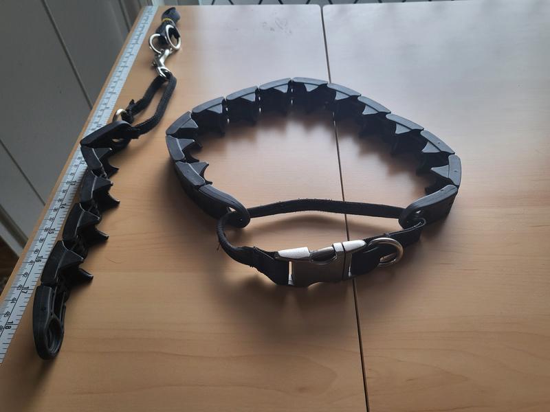 STARMARK Pro-Training Plastic Dog Collar, Large: up to 21-in neck, 1-in ...