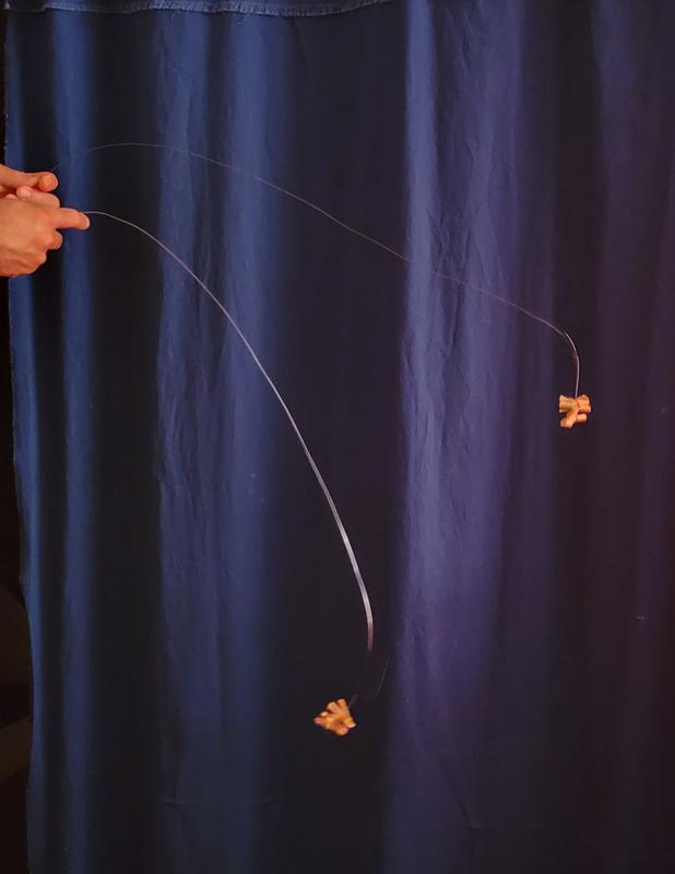 FRISCO Cardboard & Wire Teaser Cat Toy - Chewy.com