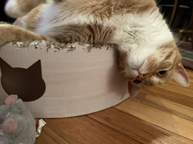 NECOICHI Cat Head Scratcher Bed, Large - Chewy.com