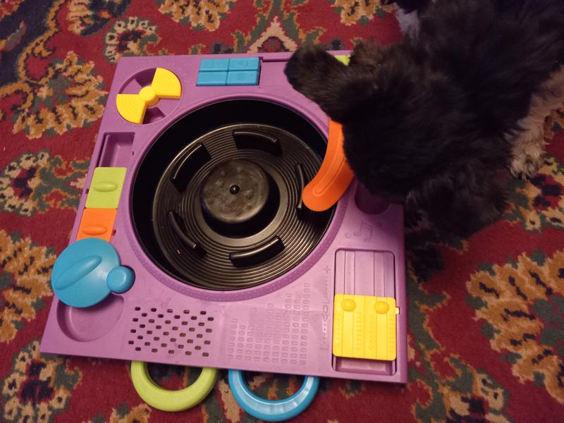 BRIGHTKINS DJ Doggo Puzzle Feeder Dog Toy - Chewy.com
