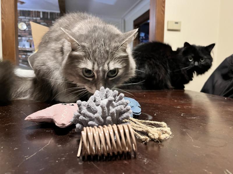 FRISCO Sea Creatures Variety Pack Cat Toy with Catnip, 12 count - Chewy.com