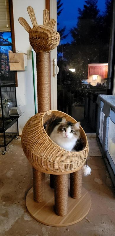 FRISCO Giraffe 51" Wicker Cat Tree & Condo - Chewy.com