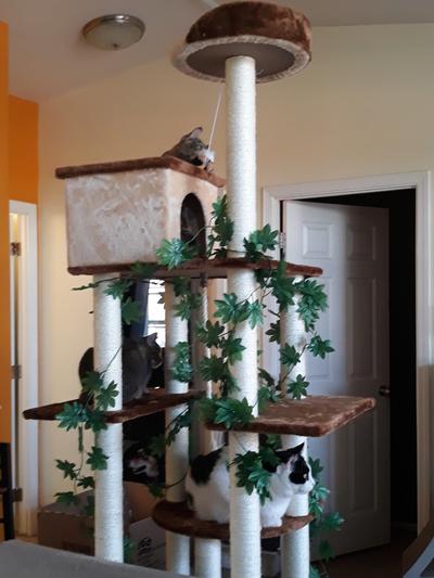 GO PET CLUB 85-in Forest with Leaves Cat Tree, Beige/ Brown - Chewy.com