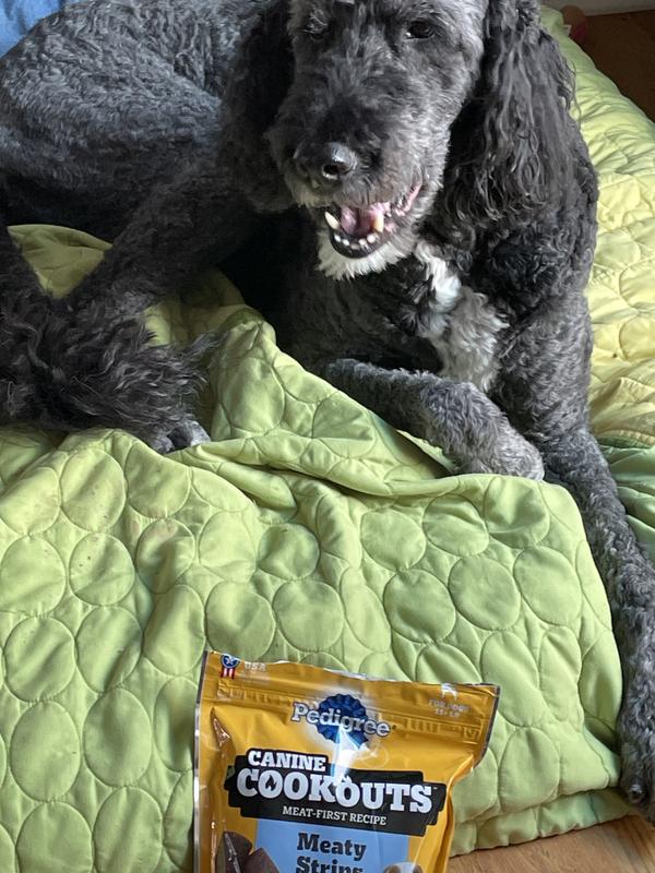 PEDIGREE Canine Cookout Chicken Flavored High-Protein Adult Meaty ...