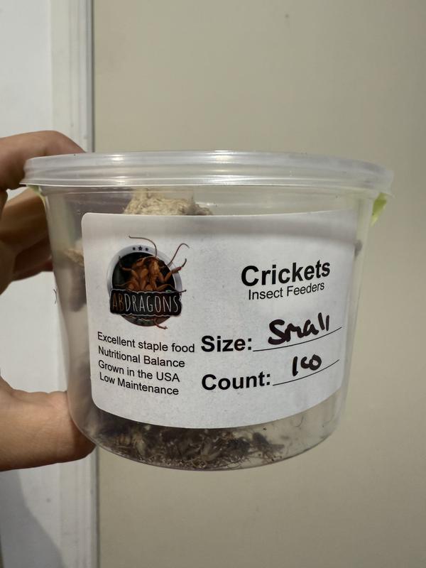ABDRAGONS Live Crickets Reptile Food, Small, 1000 count - Chewy.com