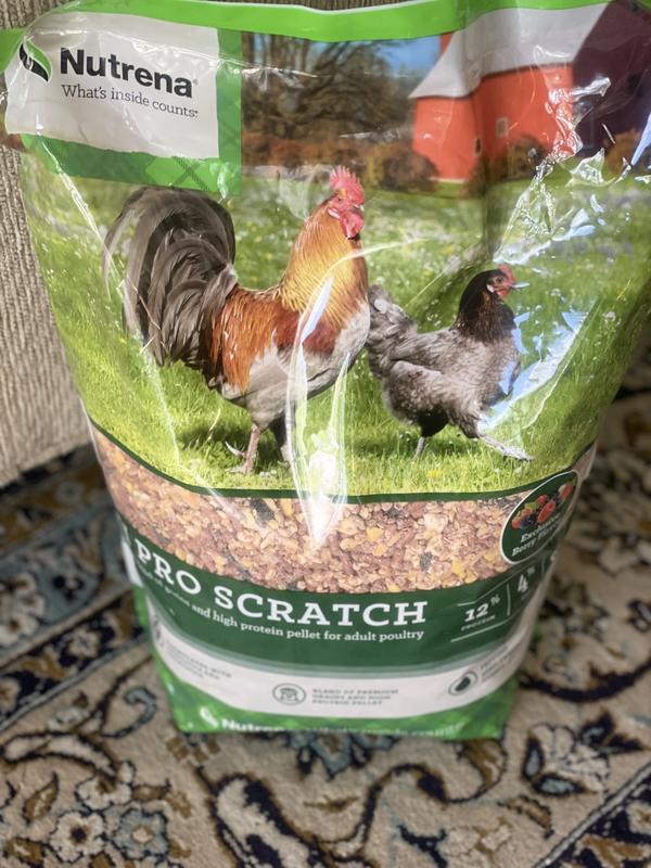 NUTRENA Hi Pro Chicken 12% Protein Scratch Grains & Protein Pellets Chicken Food, 50-lb bag ...