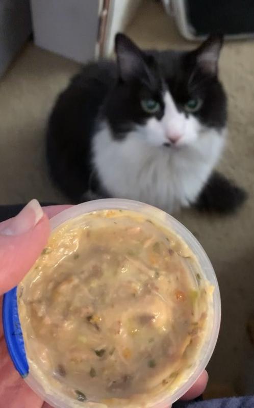 TINY TIGER Lickables Soup Tuna Recipe in a Creamy Chicken Broth Cat ...