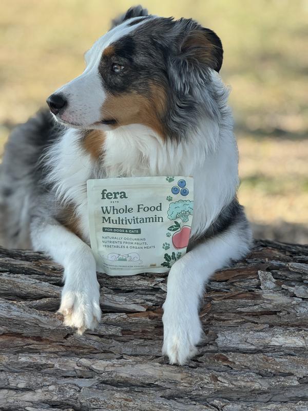 FERA PETS Whole Food Multivitamin Powder Topper for Dogs & Cats, 60-tsp ...