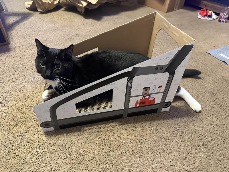 FRISCO Treadmill Cardboard Cat House - Chewy.com