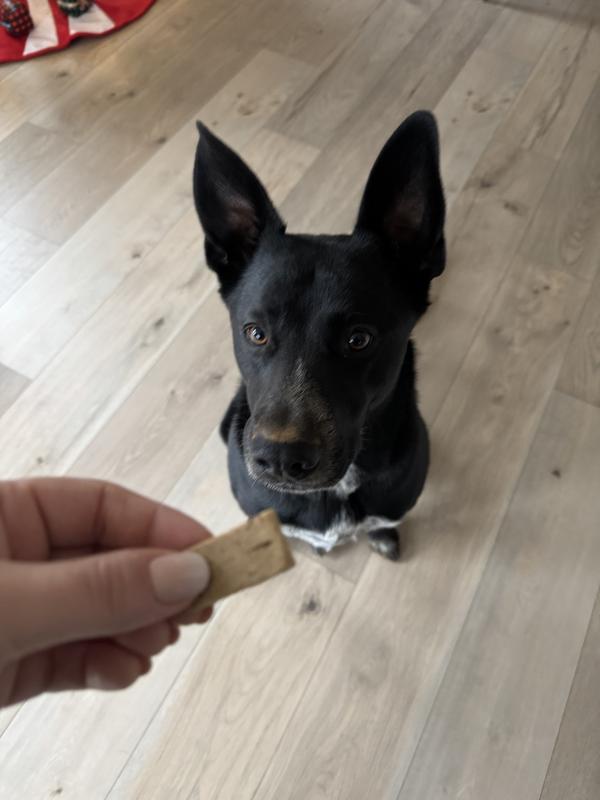 PUREBITES Wild Bison Liver Mid Size Limited-Ingredient-Diet Adult ...