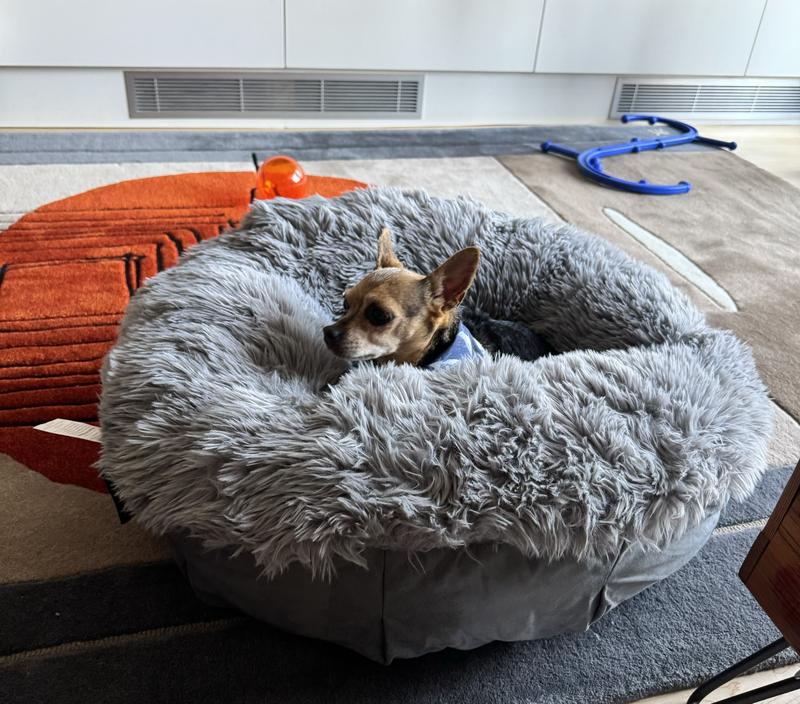 BEST FRIENDS BY SHERI Ultra Calming Orthopedic Pouf Luxury Donut Dog ...