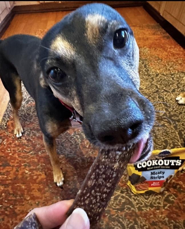 Discontinued - PEDIGREE Canine Cookout Beef Flavored High-Protein Adult ...