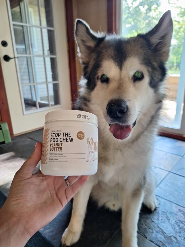 CHEW + HEAL Stop The Poo Peanut Butter Flavored Soft Chew Coprophagia ...