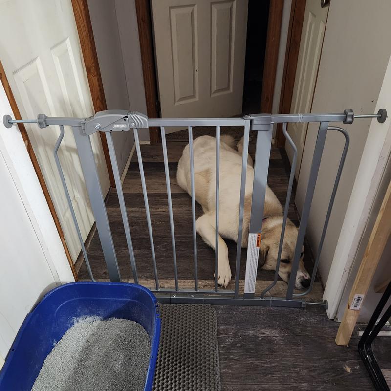 Out of Stock - REGALO Pet Products Easy Step Extra Wide Metal Dog Gate ...