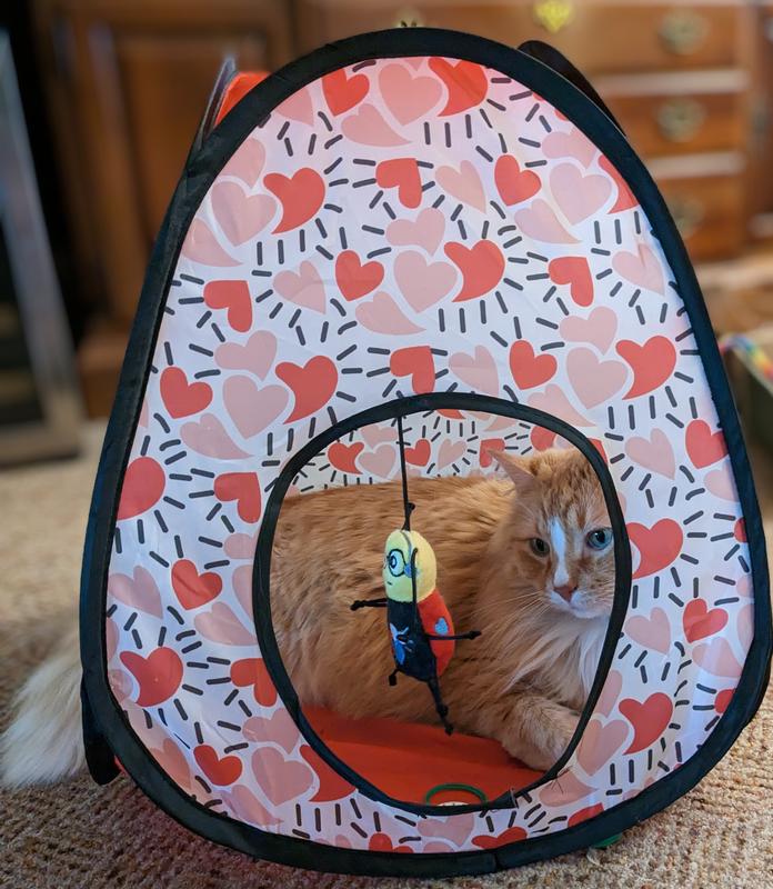Temporarily Unavailable - FRISCO Valentine Love Bug Pop-Up Tent Cat Toy ...