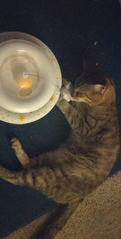 FRISCO Astronaut in Space Wobble & Spin Cat Tracks Cat Toy with Catnip ...