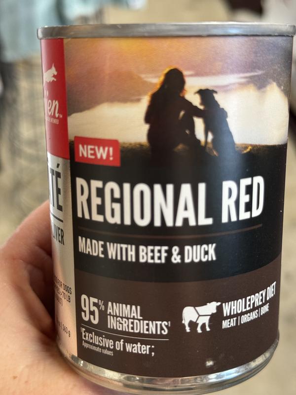 ORIJEN Adult High-Protein Regional Red Pate with Liver Wet Dog Food, 12 ...