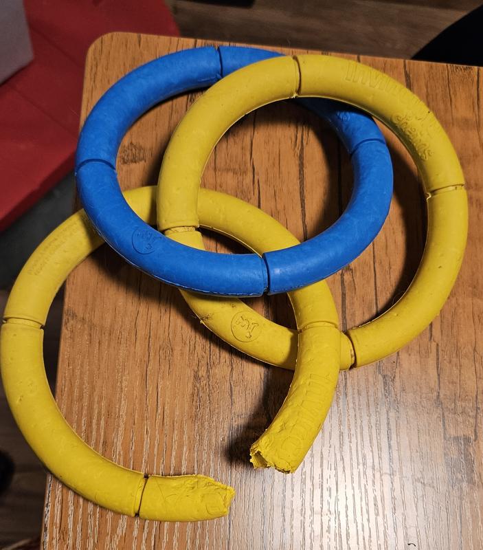 JW PET Invincible Chains Triple Dog Toy, Color Varies, Large - Chewy.com