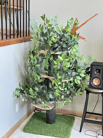 ON2PETS 60-in Large Square Modern Cat Tree, Green - Chewy.com