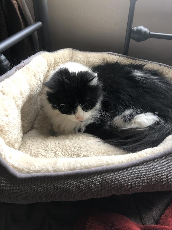 ICU MEDICAL Lactated Ringers Electrolyte Injection Solution, 1000-mL ...