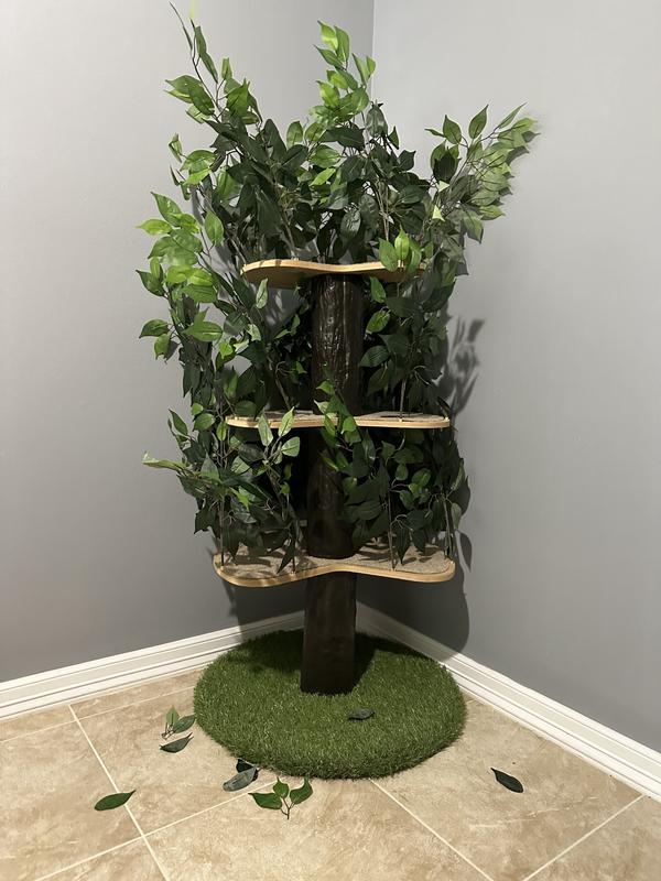 ON2PETS 60-in Large Round Modern Cat Tree, Green - Chewy.com