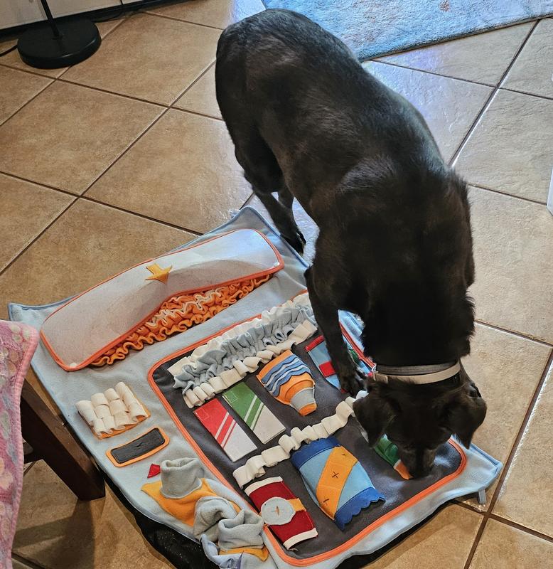 FRISCO Vending Machine Snuffle Mat, Blue, Large - Chewy.com