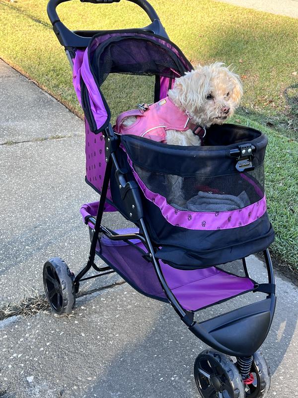 PET GEAR Special Edition No-Zip Dog & Cat Stroller, Black with Gold ...